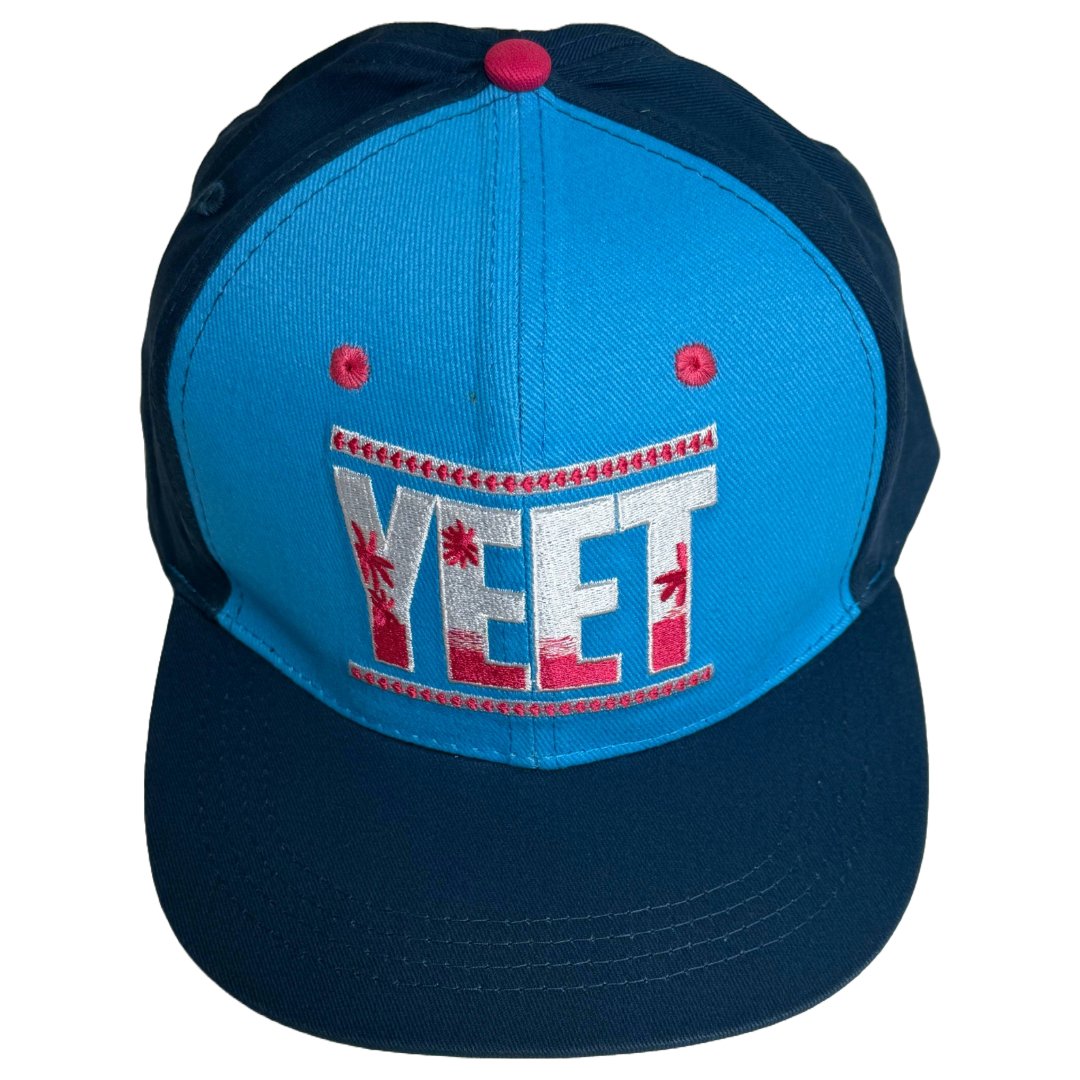 Jey Uso Yeet Blue and Pink Baseball Hat – Extreme Wrestling Shirts